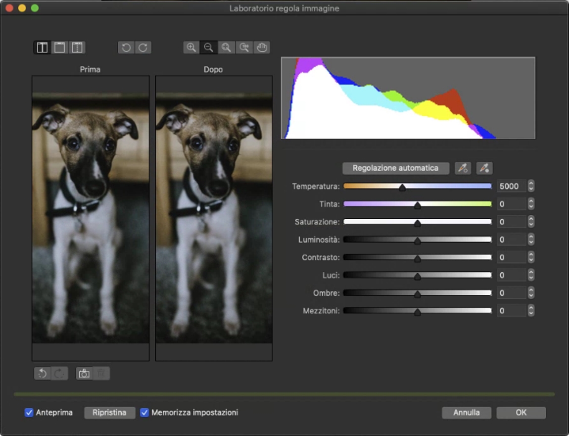 CorelDRAW Guida | Image Adjustment Lab