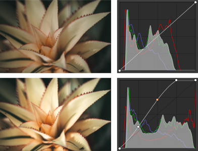 CorelDRAW Help | Tone Curve filter