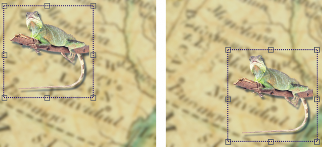 Corel PHOTO-PAINT Ayuda | Desplazar, copiar y eliminar objetos