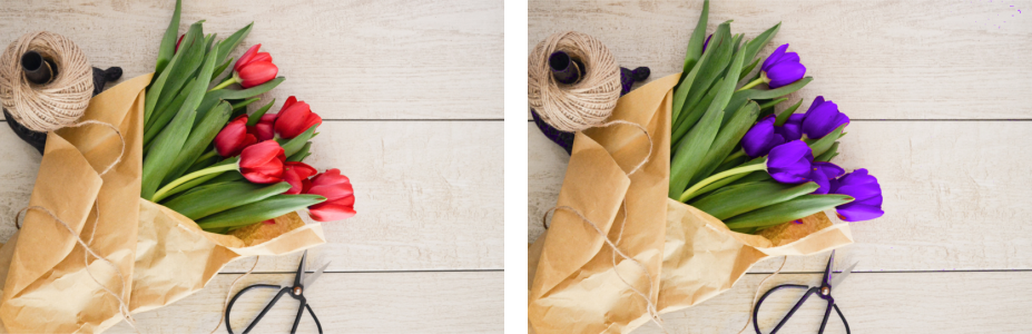 Corel PHOTO-PAINT Help | Replace Colors